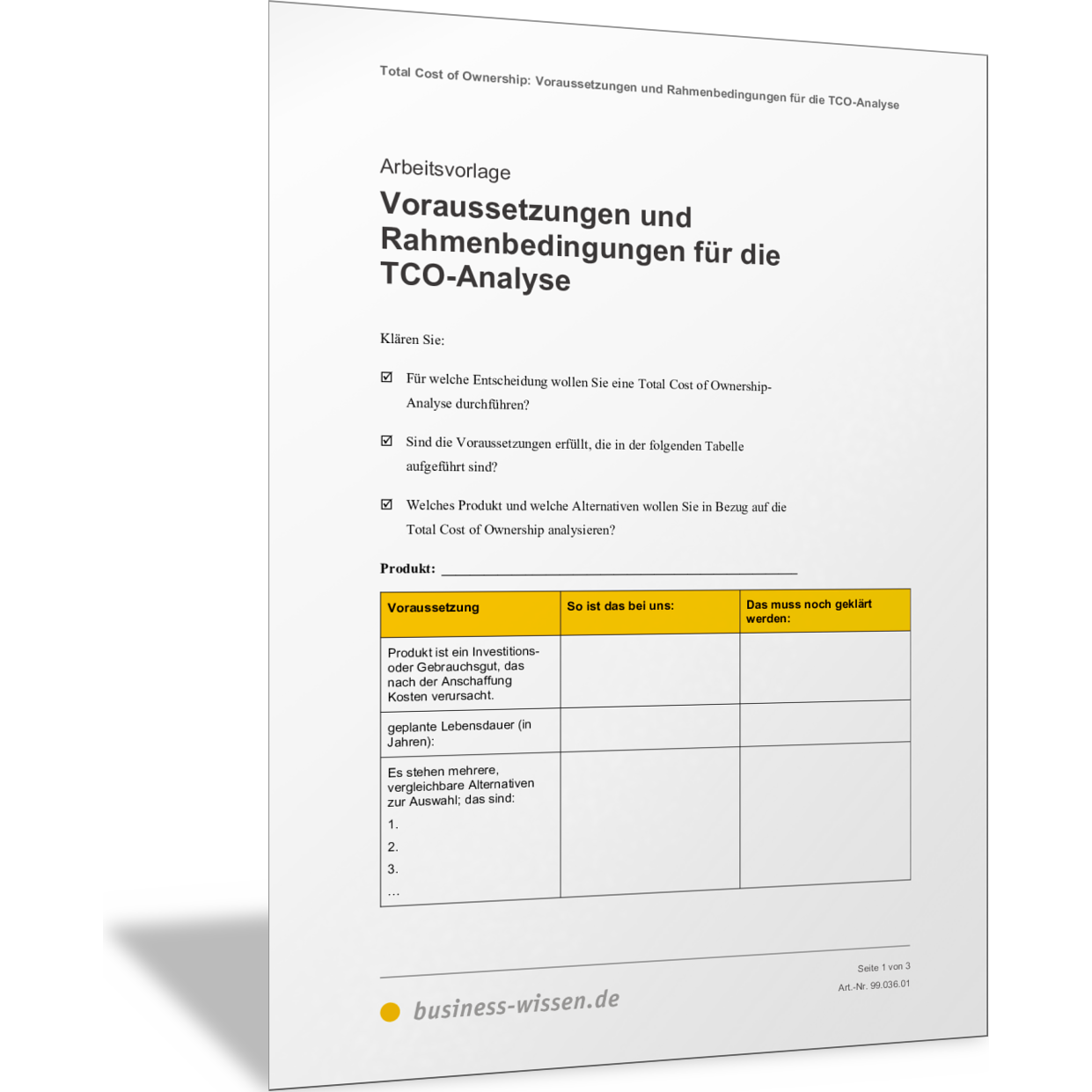 Voraussetzungen und Rahmenbedingungen für die TCO-Analyse – Vorlage