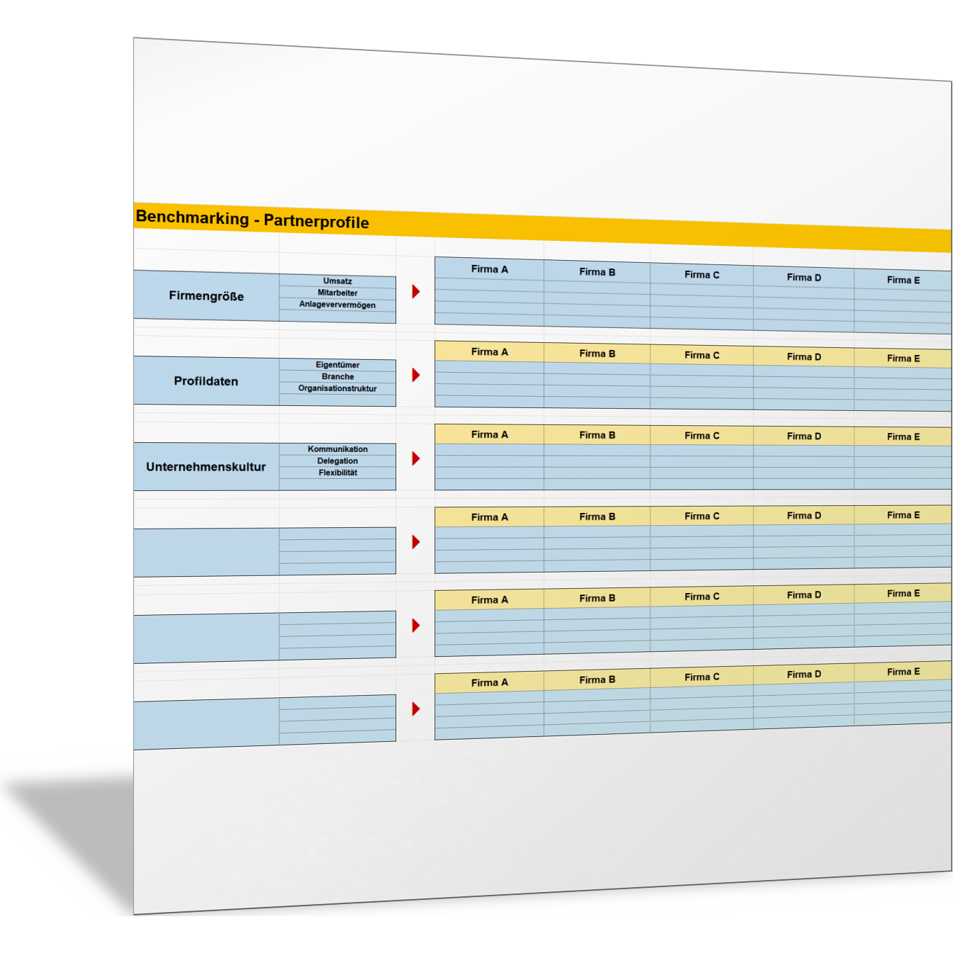 Unternehmensprofile der Benchmarking-Partner zusammenstellen – Vorlage