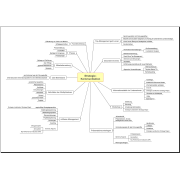 Strategy Maps entwickeln – Anleitung mit Vorlagen