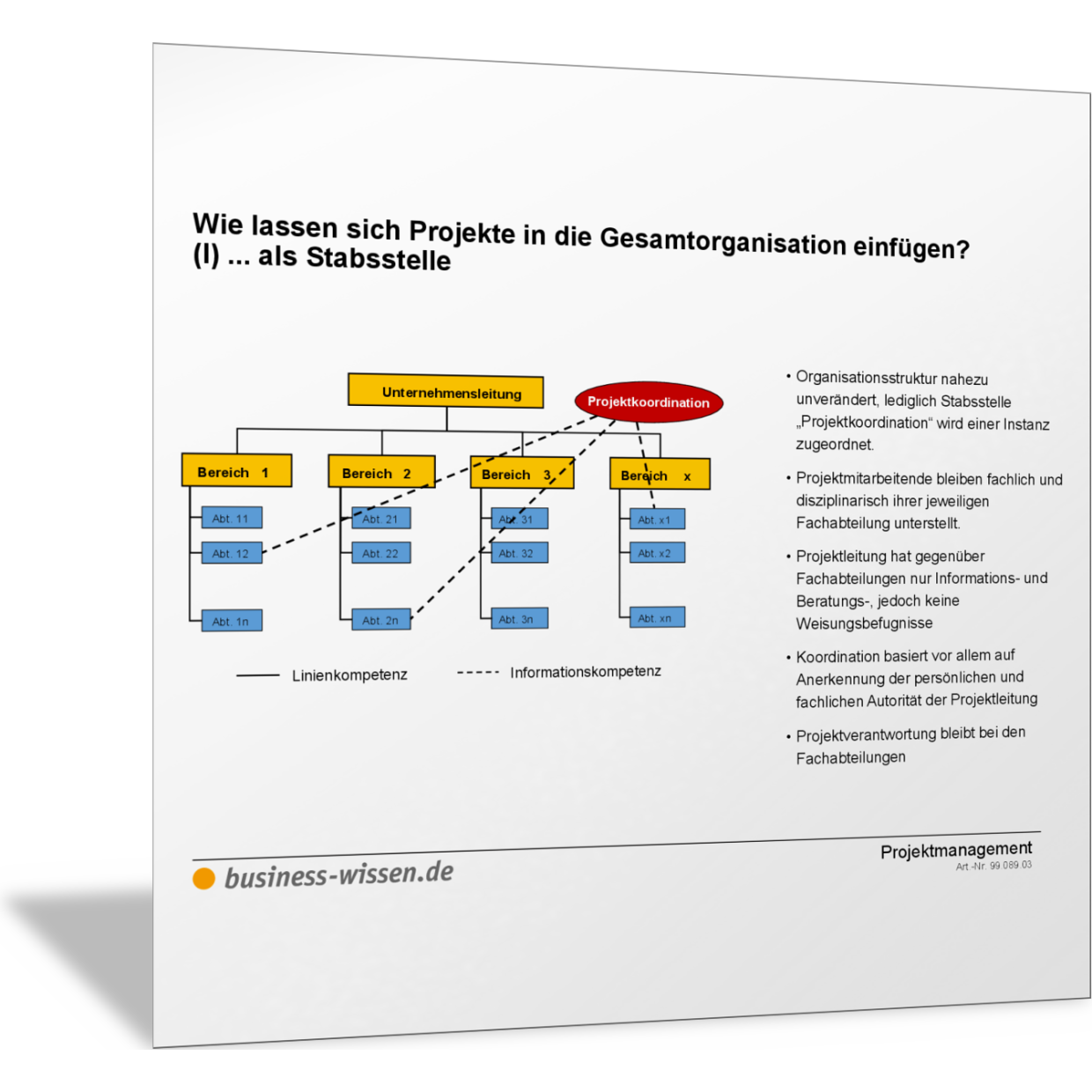Darstellung der Varianten von Projektorganisation im Unternehmen – Vorlage