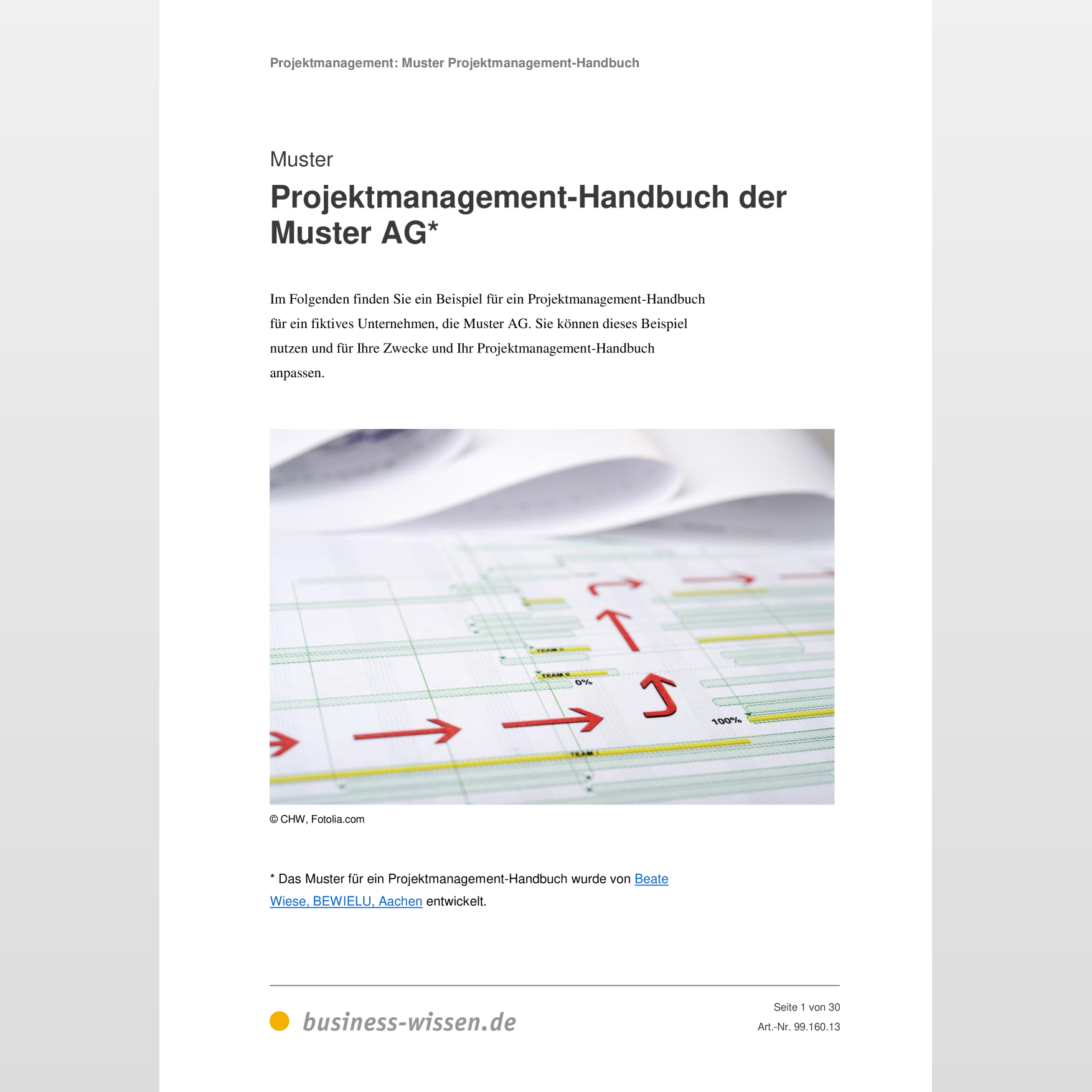Projektmanagement-Handbuch erstellen – Anleitung mit Vorlagen