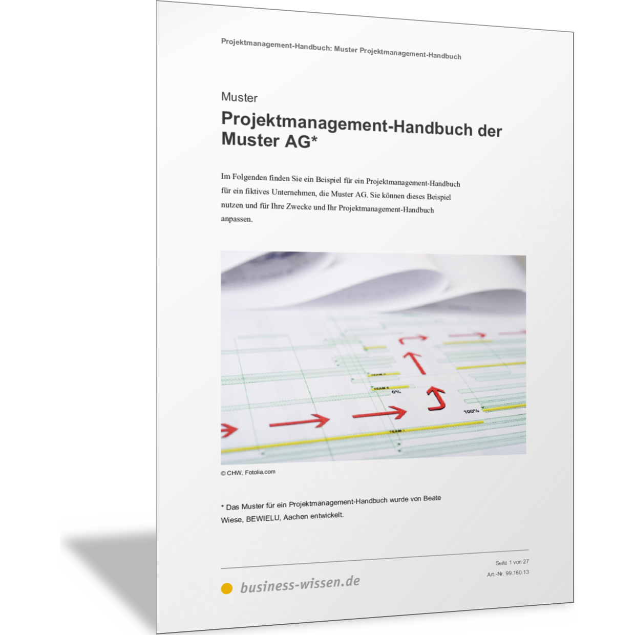 Muster Projektmanagement-Handbuch – Vorlage